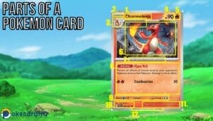 Pokemon TCG Rules: Learn How to Play Pokemon TCG for Dummies | PokeCardHQ