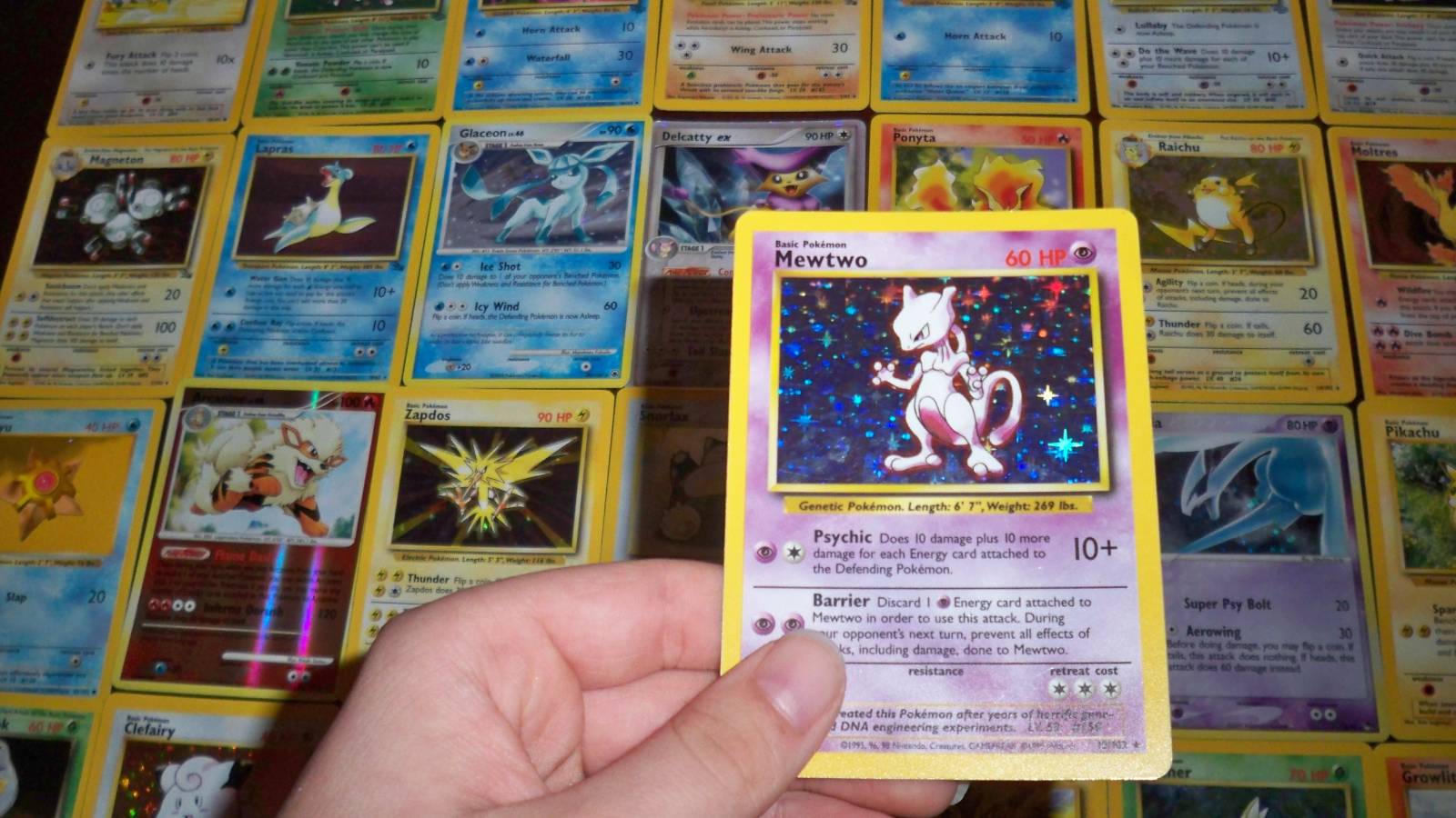 6 Cool Ways of Organizing Your Pokemon Cards | PokeCardHQ